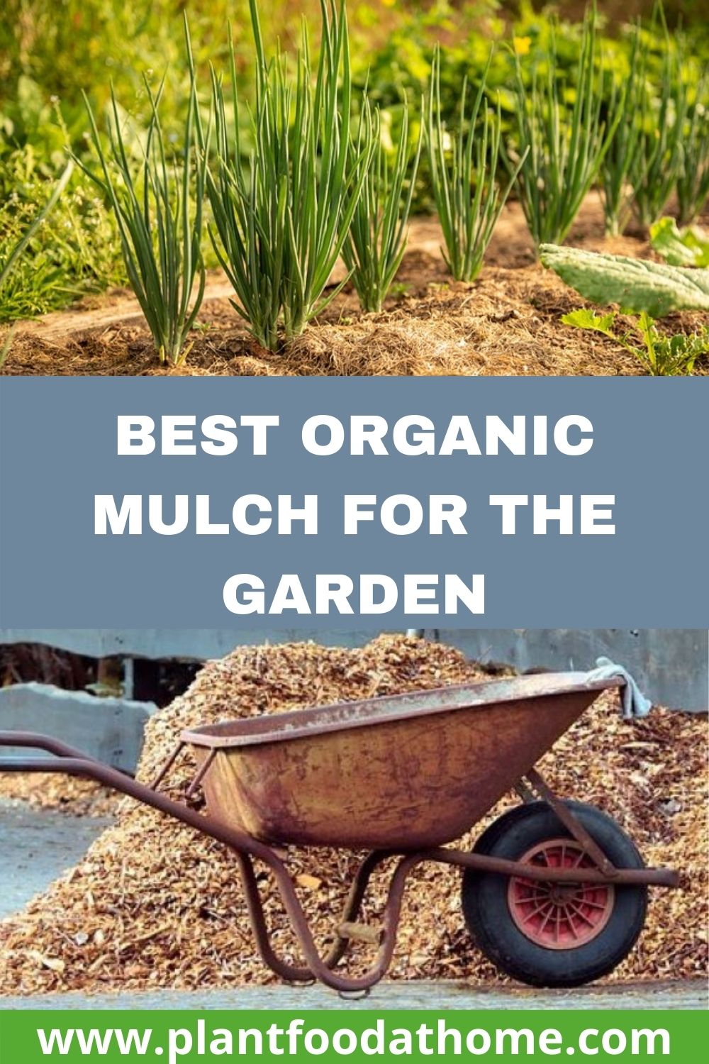 Best Organic Mulch for the Garden and Natural Mulch Ideas