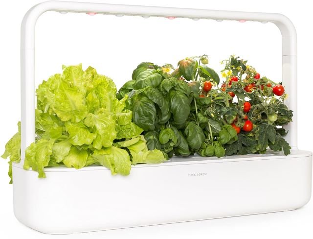 Best Indoor Vegetable Garden Growing System 2024