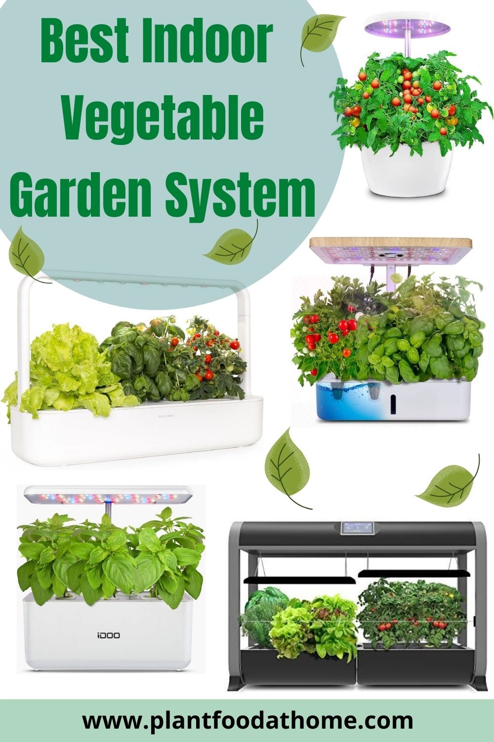 Best Indoor Vegetable Garden Growing System 2024