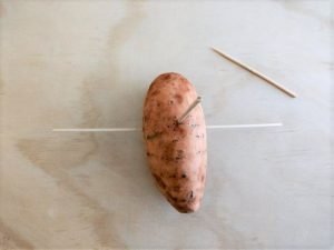 How to Start Sweet Potato Slips for Growing Sweet Potatoes (With Photos) (With Photos)