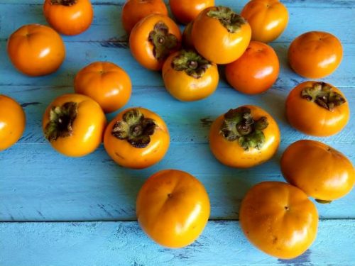 How to Grow a Persimmon Tree for Delicious Persimmon Fruit