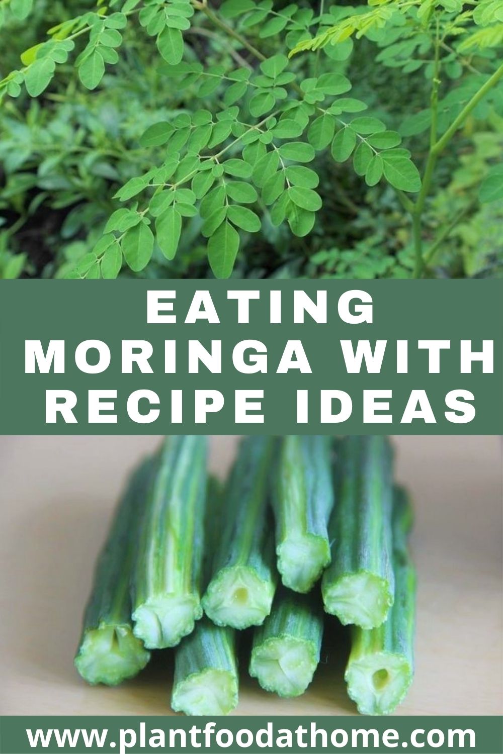 Eating Moringa with Recipe Ideas - Plant Food At Home