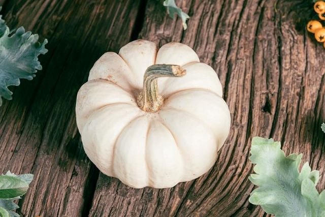 Halloween Pumpkins: Carving, Decorating and Eating - Plant Food At Home