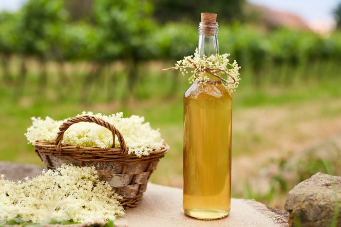 Elderflower: What it Tastes Like and How To Use Them - Plant Food At Home